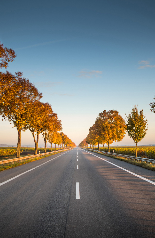 Door Design Tools | Simpson Doors